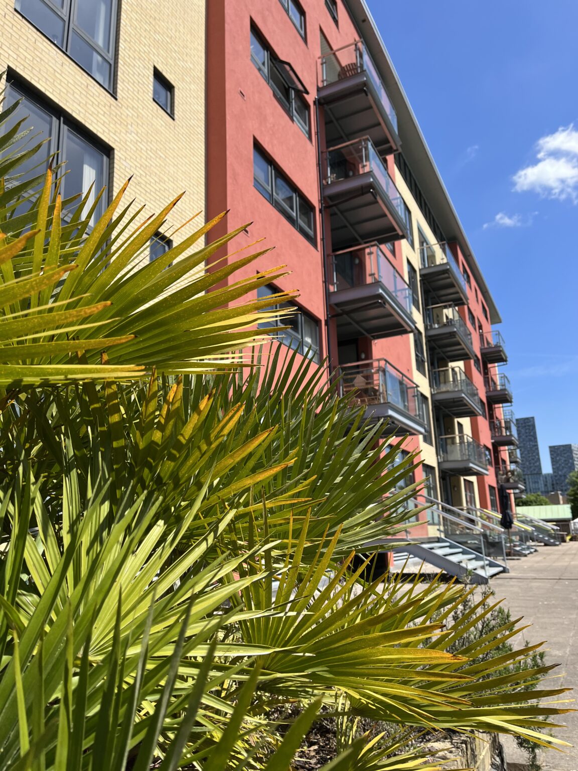 Ocean Wharf - Projects Gallery | MyDek